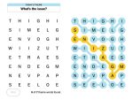 NYT Strands: The Ultimate Solver’s Guide - The Word Finder Blog!